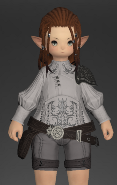 Heirloom Jacket of Fending - Final Fantasy XIV Online Wiki - FFXIV ...