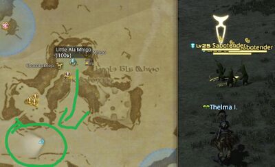 Sabotender - Final Fantasy XIV A Realm Reborn Wiki - FFXIV / FF14 ARR ...