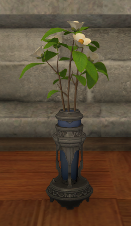 White Tea Flowers - Final Fantasy XIV Online Wiki - FFXIV / FF14 Online ...