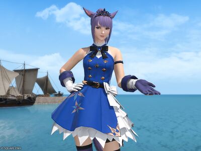 Vibran Princess's Attire - Final Fantasy XIV Online Wiki - FFXIV / FF14 ...