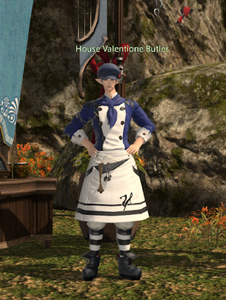 Valentione's Day (2025) - Final Fantasy XIV Online Wiki - FFXIV / FF14 ...