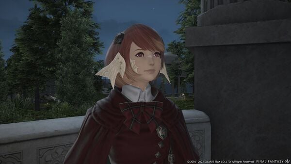 Custom Deliveries/Ameliance - Final Fantasy XIV Online Wiki - FFXIV ...