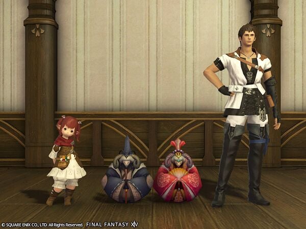 Jumbo Sheep Dolls - Final Fantasy XIV Online Wiki - FFXIV / FF14 Online ...
