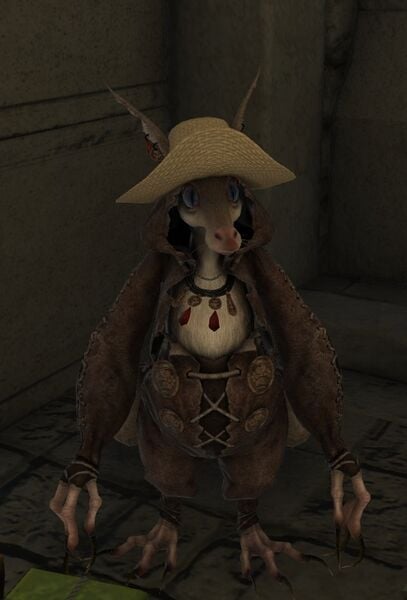 Qiqirn - Final Fantasy XIV Online Wiki - FFXIV / FF14 Online Community ...