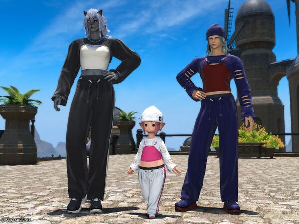Leisurewear High-cut Knit Top - Final Fantasy XIV Online Wiki - FFXIV ...