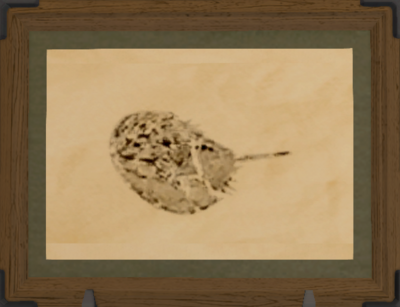 Lava Crab (Seafood) - Final Fantasy XIV Online Wiki - FFXIV / FF14 ...