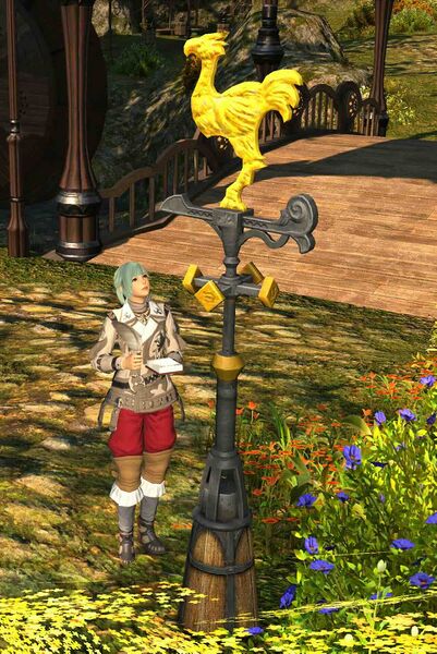 Skywatcher - Final Fantasy XIV Online Wiki - FFXIV / FF14 Online ...
