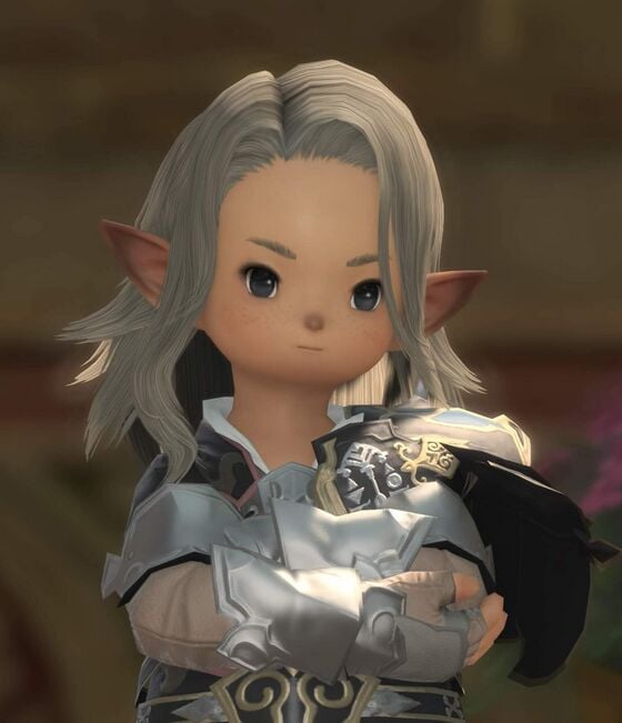 Pipin - Final Fantasy XIV Online Wiki - FFXIV / FF14 Online Community ...